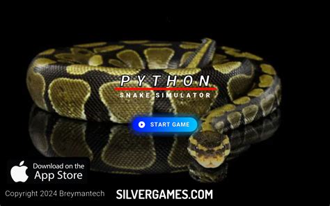 Python Snake Simulator Play Online On SilverGames