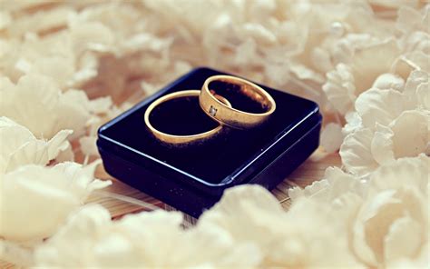 Красивые Фото Свадебных Колец – Telegraph