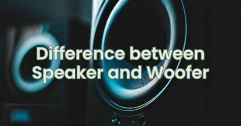 Difference Between Speaker And Woofer All For Turntables