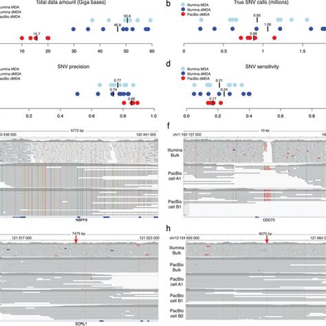 Examples Of Large Insertion And Deletion Events In Long Read Download Scientific Diagram