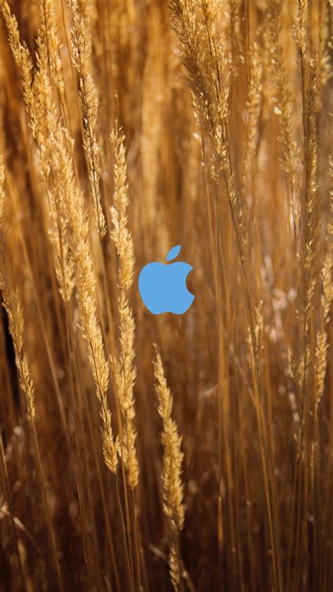 [request] Update This Bootlogo For Ios 11 Or As A Respring Logo R Jailbreak