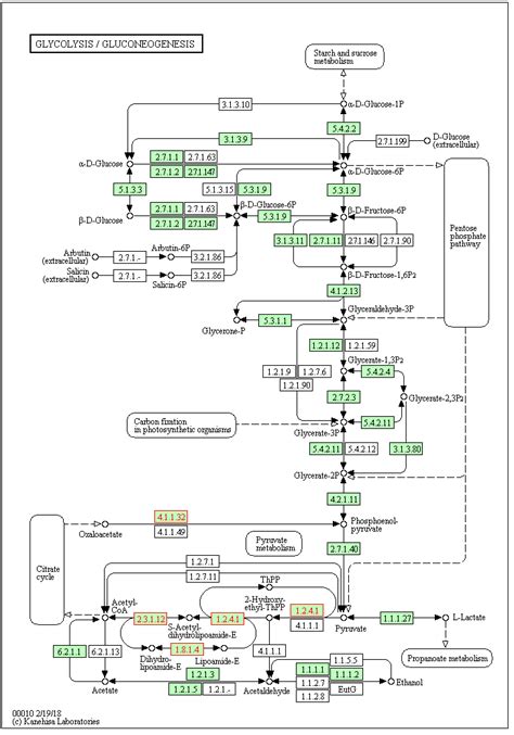 Kegg Pathview Visualization · Issue 115 · Vlouxproteore · Github