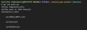 Templates In Golang Golang Docs