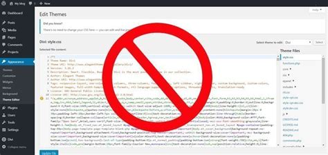 How To Add Custom CSS To Divi