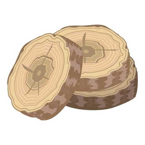 Illustration Of Tree Rings And Crosssection Vector Art At Vecteezy