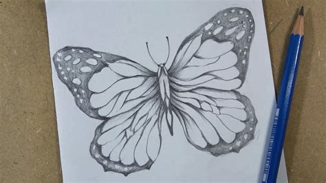 Easy Butterflies Drawings In Pencil