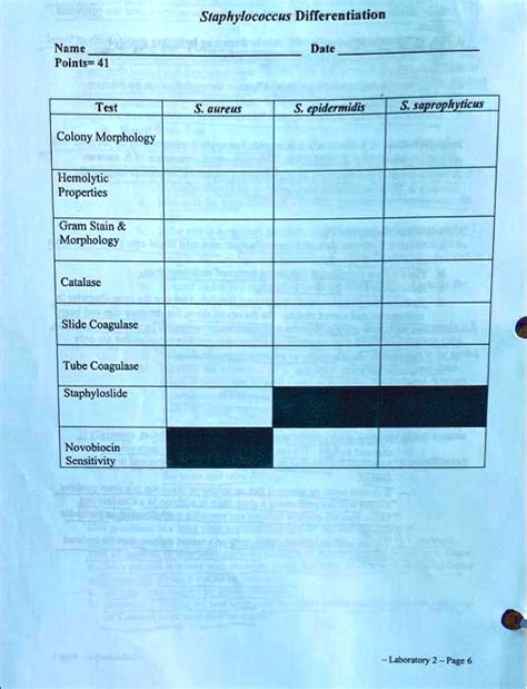 Staphylococcus Differentiation Nanie Foints 41 Dale Tet Guret Pidermidis Soprophyticu Colony
