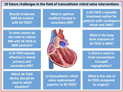 Ten Future Challenges In The Field Of Transcatheter Mitral Valve Edge