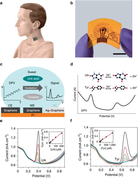 The Electrochemistry Enables Wearable Biosensors For Metabolite Download Scientific Diagram
