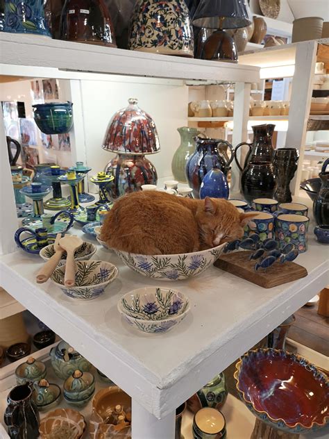 6911 Best Pottery Images On Pholder Pottery Oddlysatisfying And