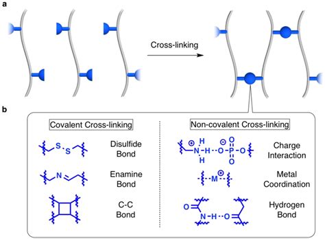 A Schematic Illustration Of Strategy For Cross Linked Peptide Fibers