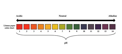 Do Ph Dung Dich Ve Sinh M Ph M Nuskin Vi T Nam Ch Nh H Ng