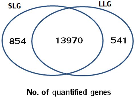 identification of degs by rna seq analysis the number of annotated