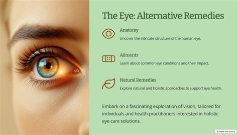 Natural Eye Wellness Herbs And Lifestyle Practices For Supporting