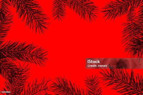 고립 된 빨간색 배경에 녹색 전나무 나뭇 가지로 만든 창조적 인 크리스마스 구성 0명에 대한 스톡 사진 및 기타 이미지 0명 12월 가문비나무 Istock