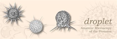 Welcome To Pirx Piotr Rotkiewiczs Website