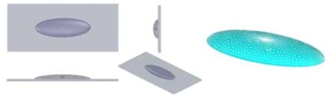 A Spreading Bone Cell Model In Culturing Condition A An Example Download Scientific Diagram