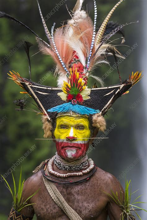 Chief Timon Tumbu Huli Wigman In Ceremonial Dress Stock Image C042
