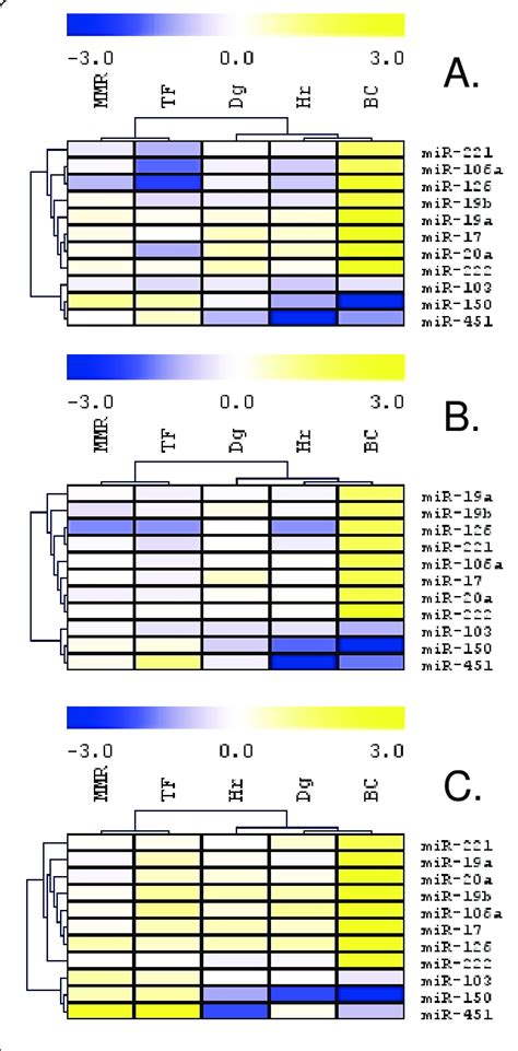 Hierarchical Clustering Analysis Of Mirna Expression Data A