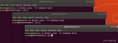 [零基础]用docker搭建hadoop集群 hadoop docker csdn博客