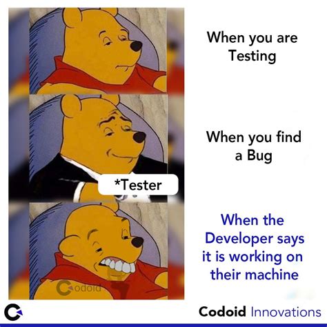 Codoid Innovations On Linkedin How Testers Feel When They Hear The