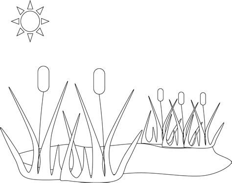 Pond Coloring Pages Simple Clipart Free Printable Coloring Pages My