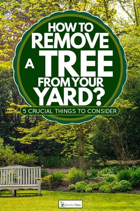 How To Remove A Tree From Your Yard [5 Crucial Things To Consider]