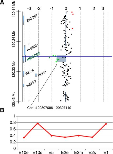 The Gene Encoding The Ketogenic Enzyme Hmgcs2 Displays A Unique