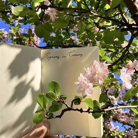 广州医科大rfect Sirna转染试剂成功转染人卵巢癌细胞（sk Ov 3、a2780） 知乎