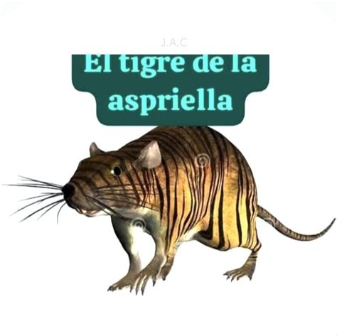 Jairo Calderon Facebook