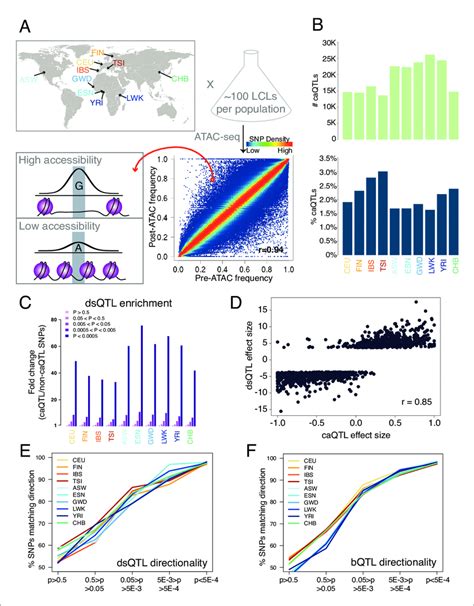 Outline And Results Of Pooled ATAC Seq A Performing ATAC Seq In A Download Scientific