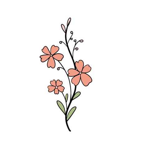 Flores Minimalistas Png Para Descargar Gratis