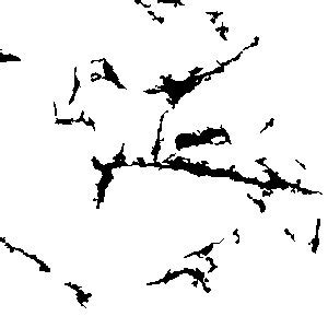 Illustrations Of The Four Processing Operations Used To Transform A Raw Download Scientific