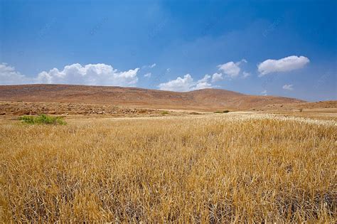 Palestine Land Heap Terrain Photo Background And Picture For Free Download Pngtree
