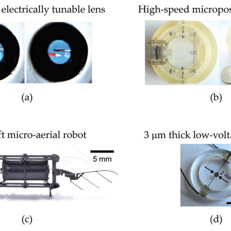 Examples Of Meso And Micro Scale Deas A All Polymer Electrically