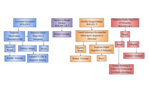 Algorithm For Screening Mammogram Wyoming Department Of Health