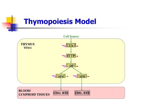 Ppt Evaluation Of Thymic Function In Healthy And Hiv 1 Infected