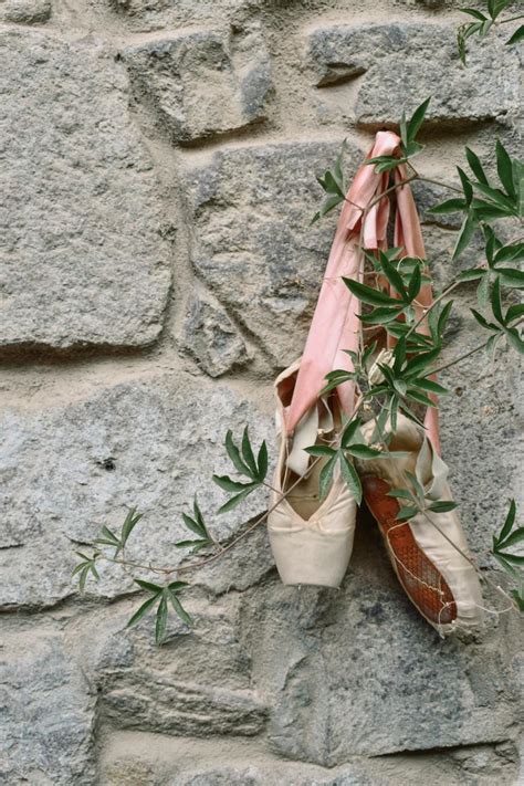 경치 좋은 관점 경치가 좋은 고전 무용 나뭇잎 녹색 녹지 담쟁이덩굴 대자연 댄스 덩굴식물 돌 질감 돌담 러스틱 발레 발레 슈즈 발레 슬리퍼