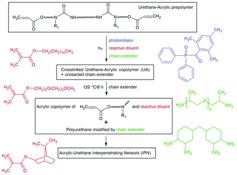 Scheme Of The Dual Curing Of Epu 40 Download Scientific Diagram