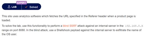 Server side request forgery vulnerabilities SSRF Các lỗ hổng giả mạo yêu cầu phía máy chủ