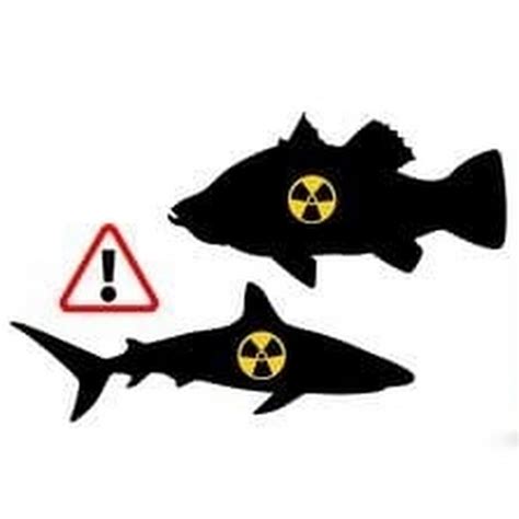 Nuclear Fish Podcast Youtube