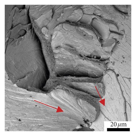 The Fracture Morphology Of Tensile Specimens A The Conventional Download Scientific Diagram