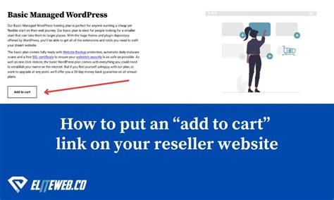 How To Add Custom Add To Cart Links To Your Reseller Website ELITEWEB Co USA