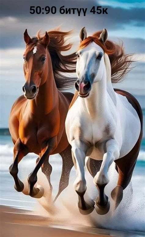 Шигтгээн 🐎Морь🐎 Үр хүүхдийг ивээдэг Хурдан шаламгай шантрашгүй