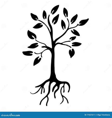 High Quality Tree Silhouette With Leaves And Roots Stock Vector Illustration Of Botany