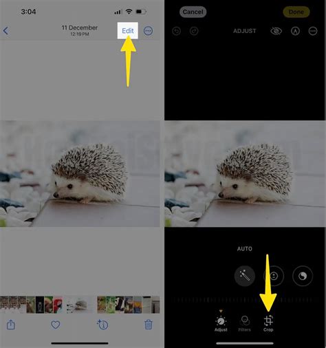 How To Crop Photos On IPhone Using Photos App In Ways