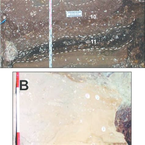Comparison Of The Cross Section From The Side Chamber A With The Download Scientific Diagram