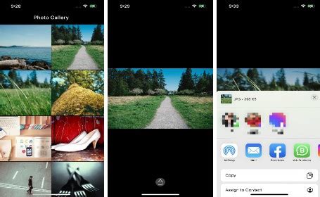 A Photo Gallery Mobile Application With Flutter