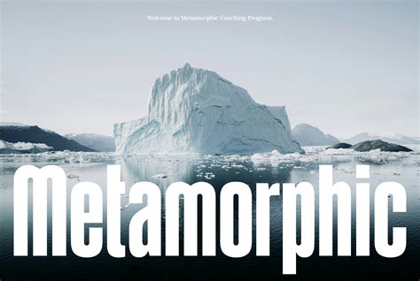 Projects Metamorphic