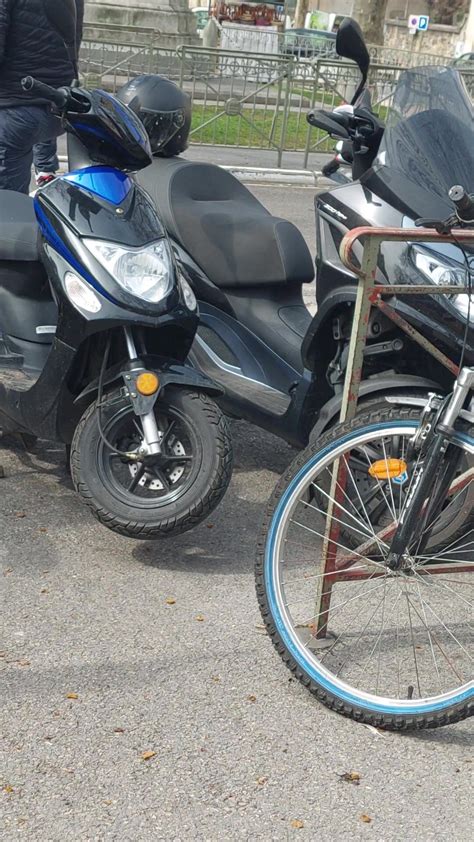 Butt And Motors